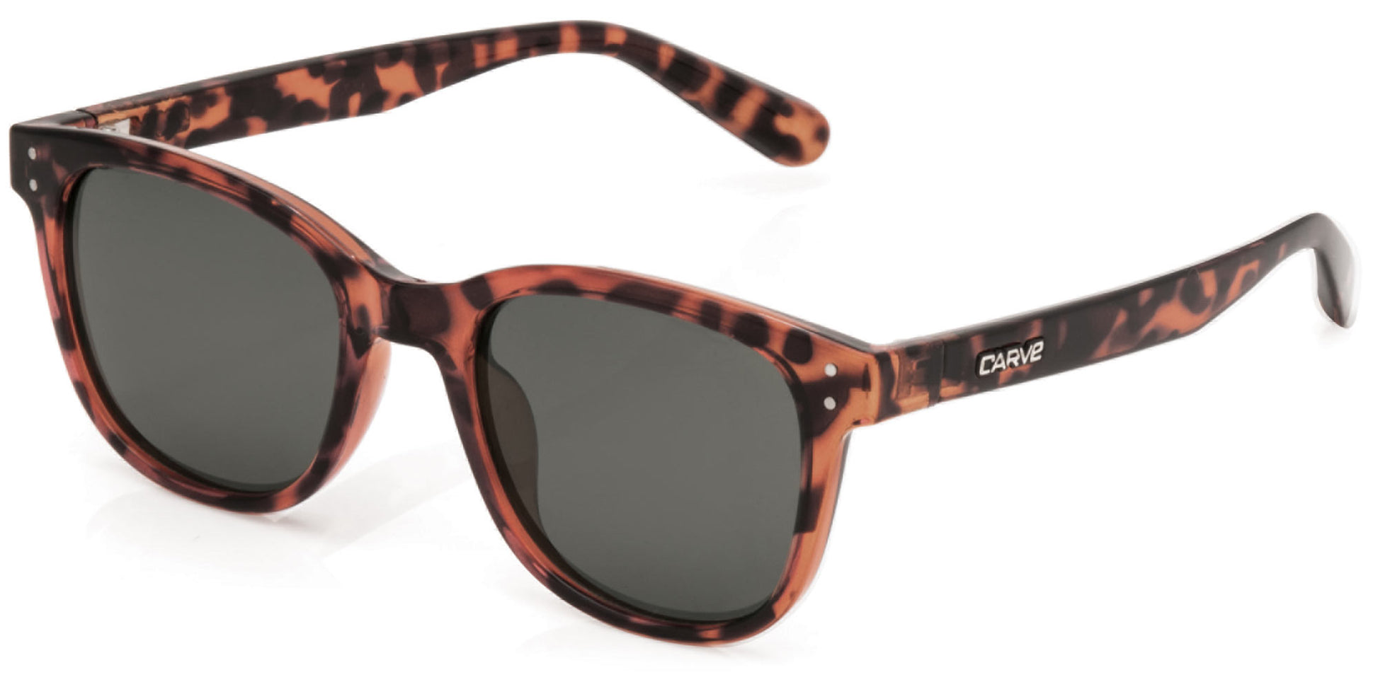 Homeland - Polarized Gloss Tort Frame Sunglasses
